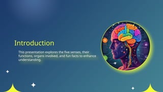 The Sense organs of the human body- presentation | PPT