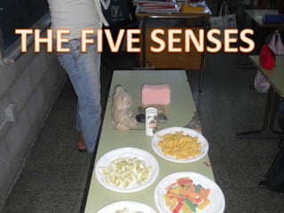 The five senses final task 2 prim. | PDF