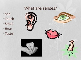 The five senses i can see! assignemnt | PPT