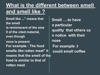 The five senses nadien | PPT