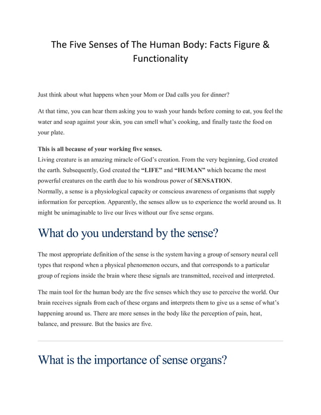 The five senses of the human body | PDF