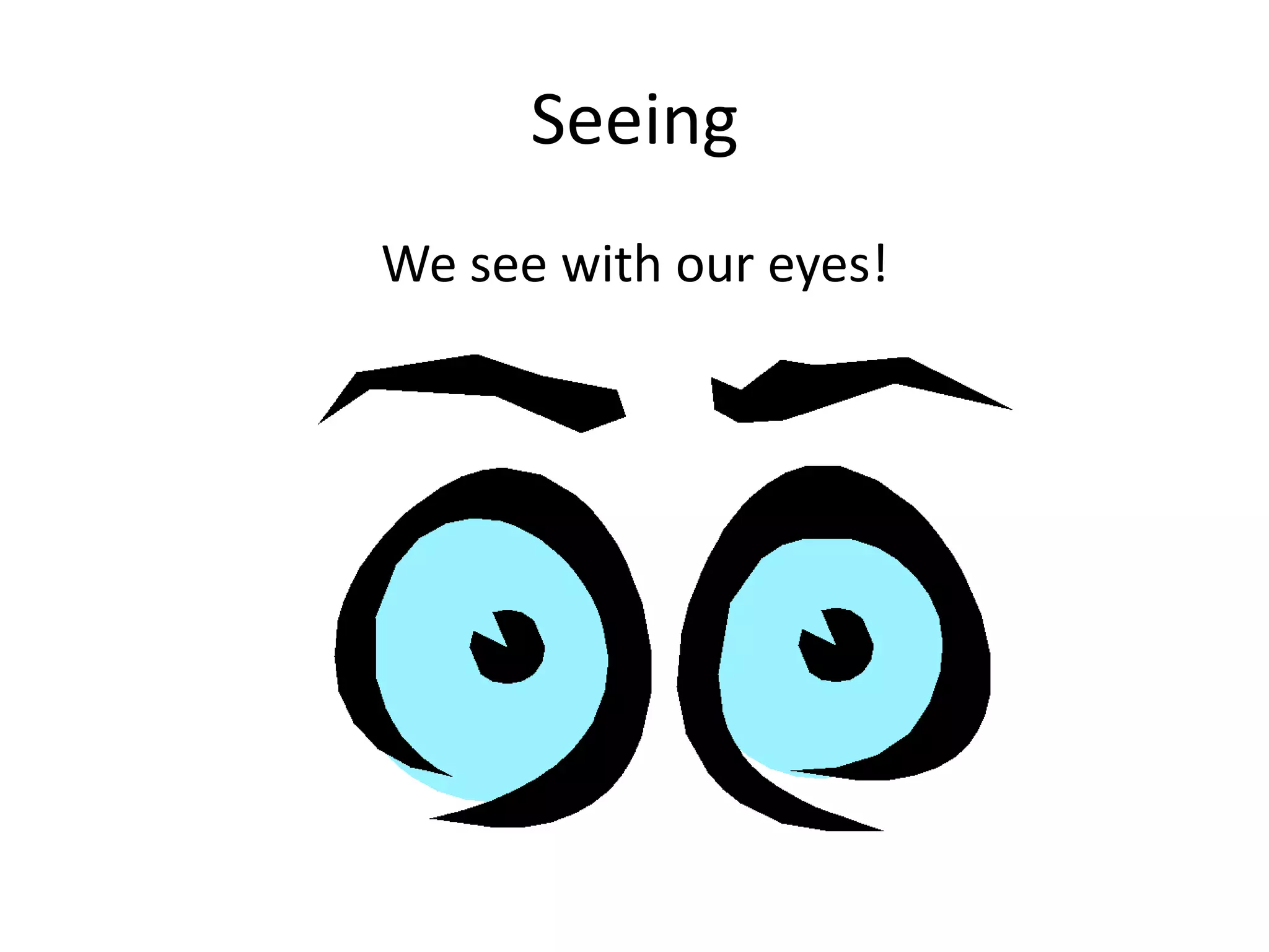 The Five Senses Powerpoint | PPTX