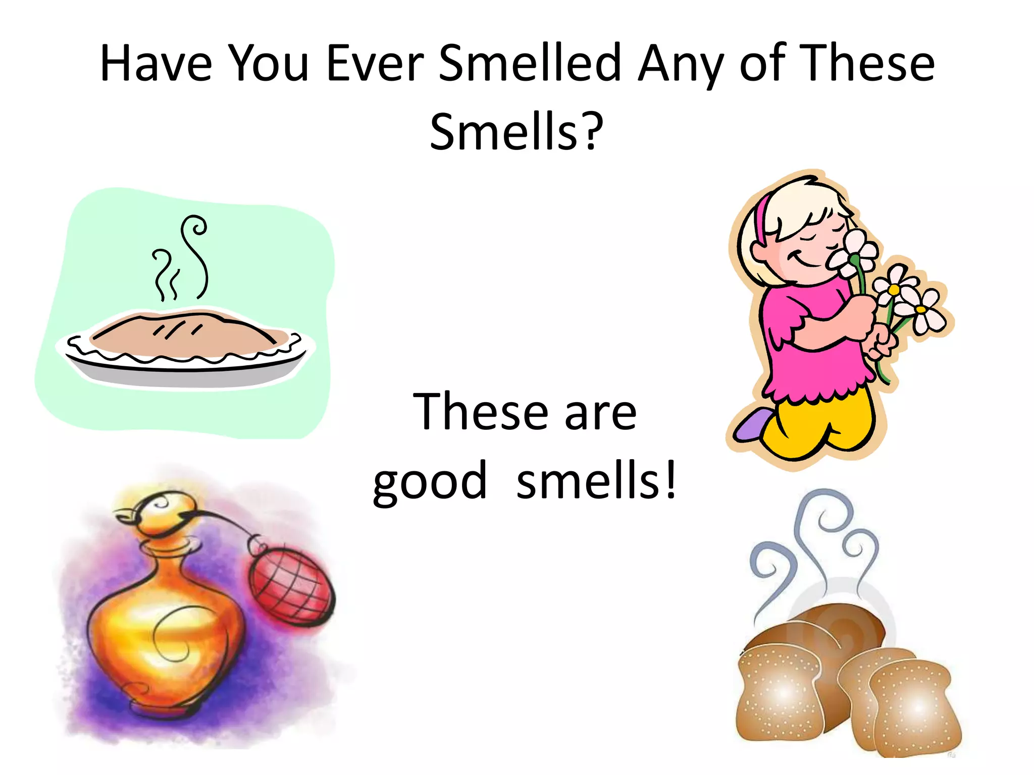 The Five Senses Powerpoint | PPTX