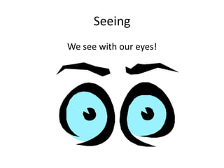 The Five Senses Powerpoint | PPTX