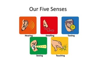 The Five Senses Powerpoint | PPTX