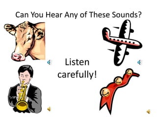 The Five Senses Powerpoint | PPTX