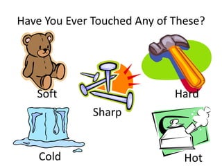 The five senses powerpoint | PDF