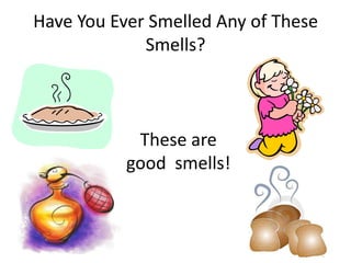 The five senses powerpoint | PDF