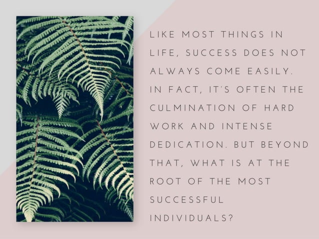 The Five Tenets of Success | PDF