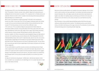 The flag company brochure | PPT