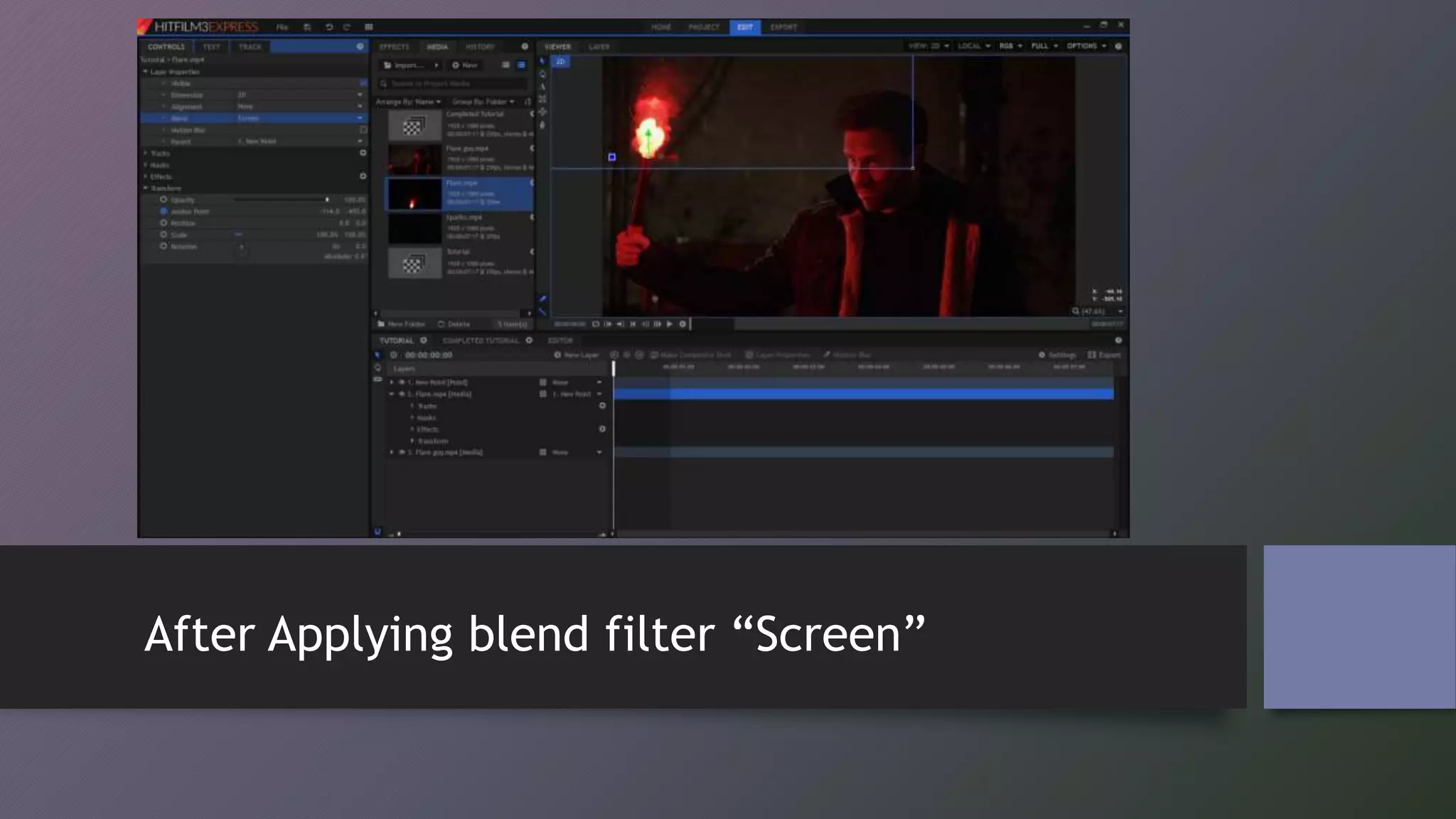 The Flare Project - Evidence | PPTX