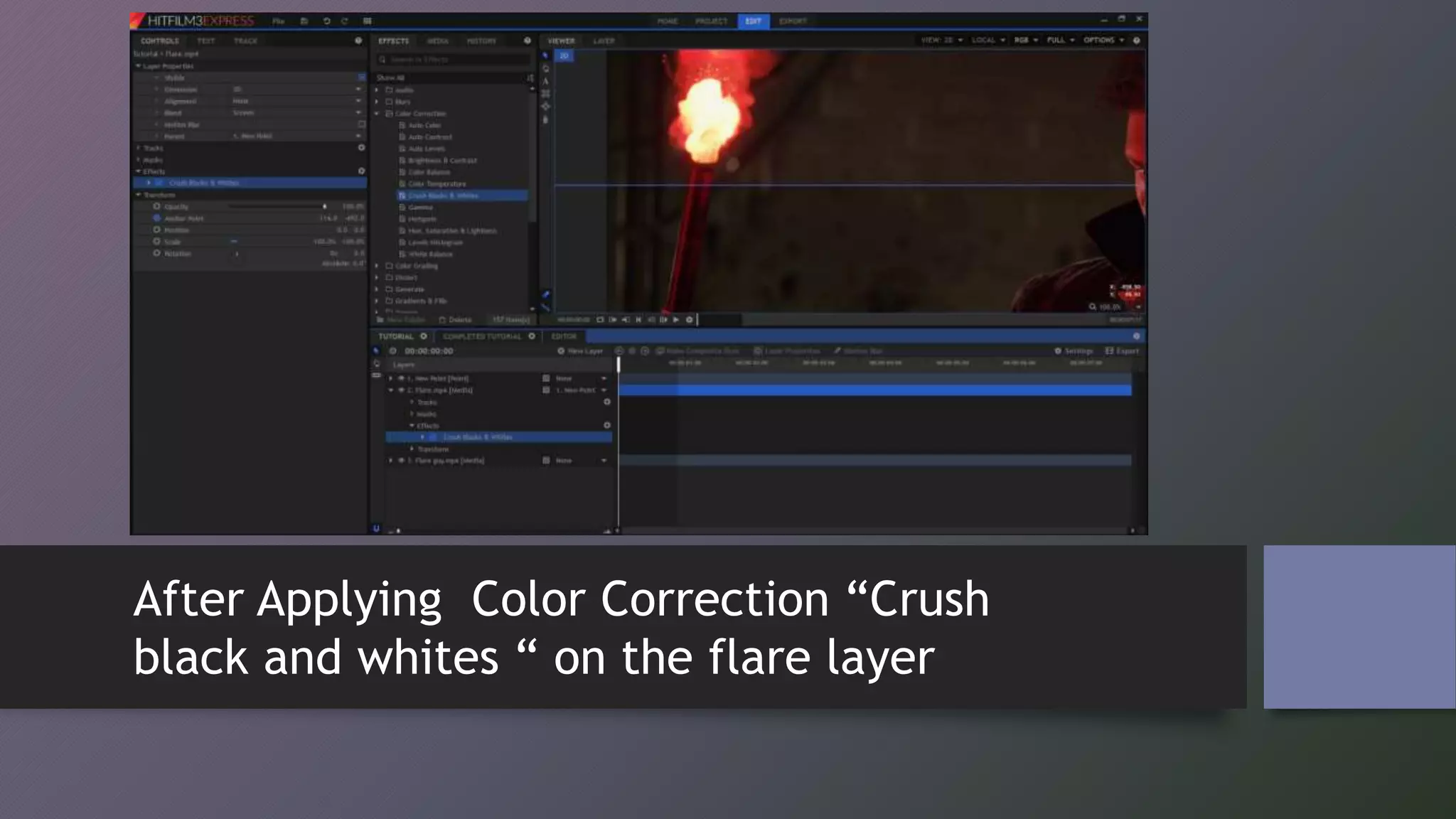 The Flare Project - Evidence | PPTX