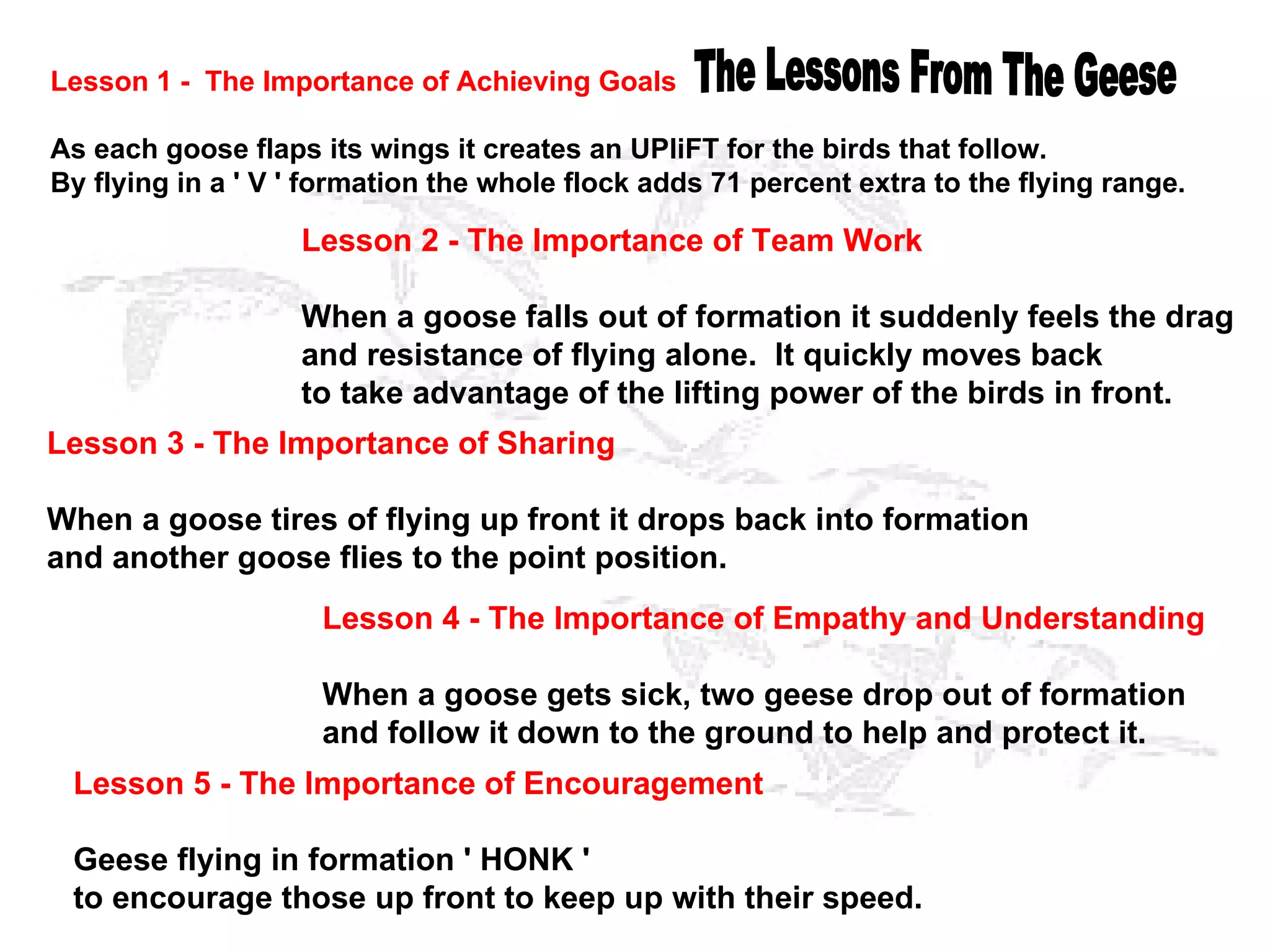 The Flight Of The Geese | PPT