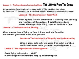 The Flight Of The Geese | PPT