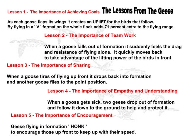 The Flight Of The Geese | PPT | Air Travel | Travel Type