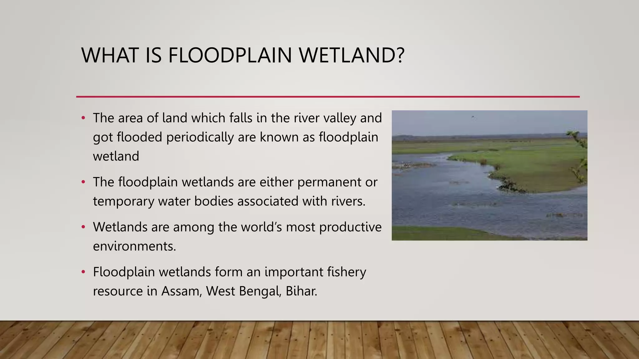 THE FLOOD PLAIN WETLAND AND COLD-WATER FISHERIES OF-2 (1).pptx