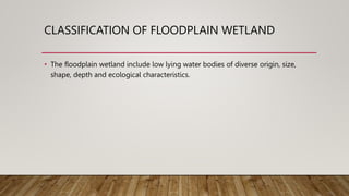 THE FLOOD PLAIN WETLAND AND COLD-WATER FISHERIES OF-2 (1).pptx