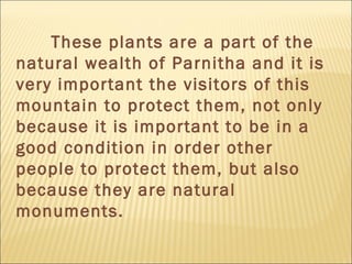 The flora of mount parnitha | PPT