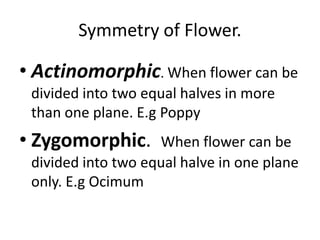 The Flower Calyx Corolla | PPTX