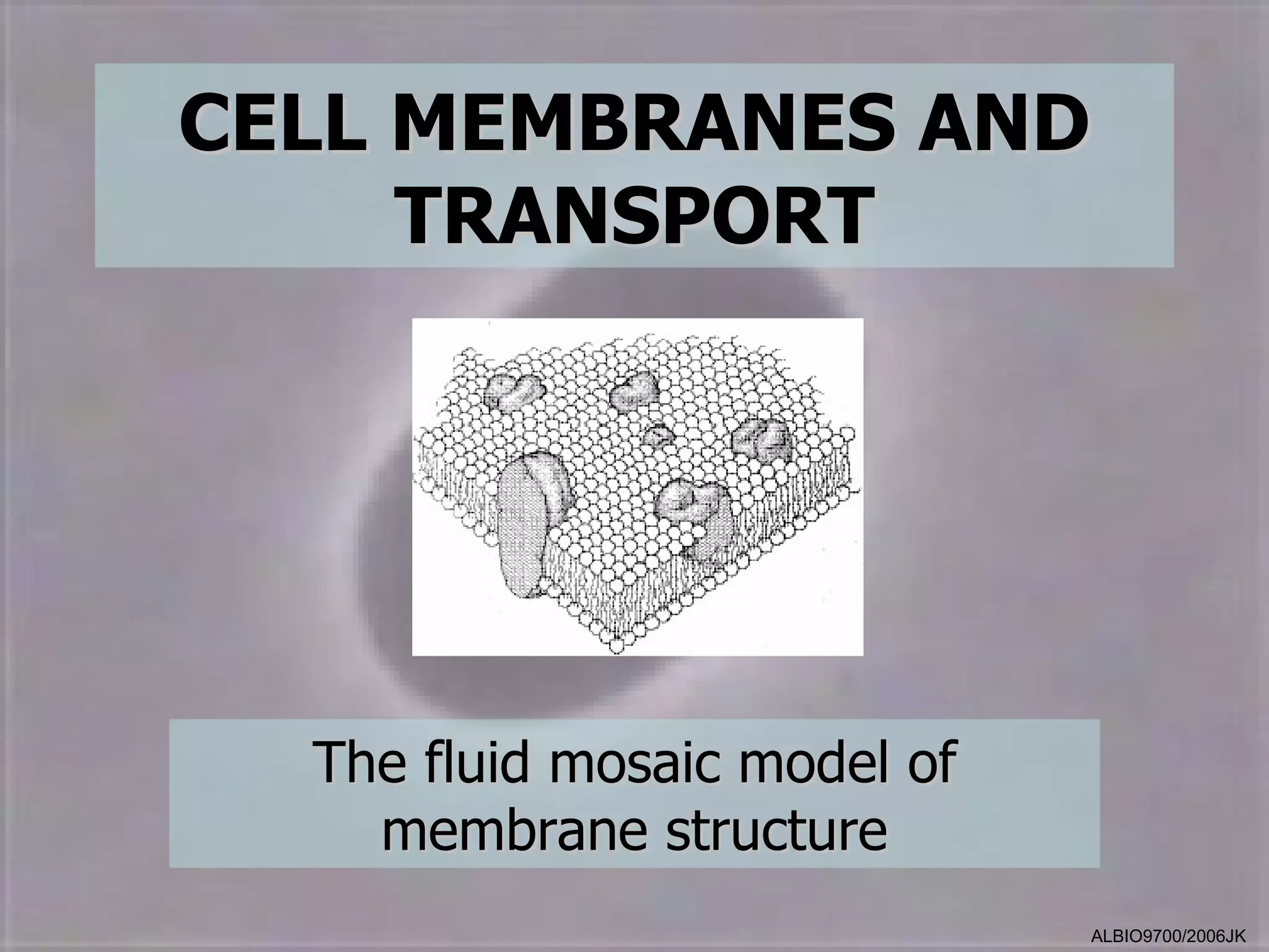 The fluid mosaic model of membrane structure | PPT
