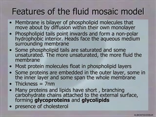 The fluid mosaic model of membrane structure | PPT