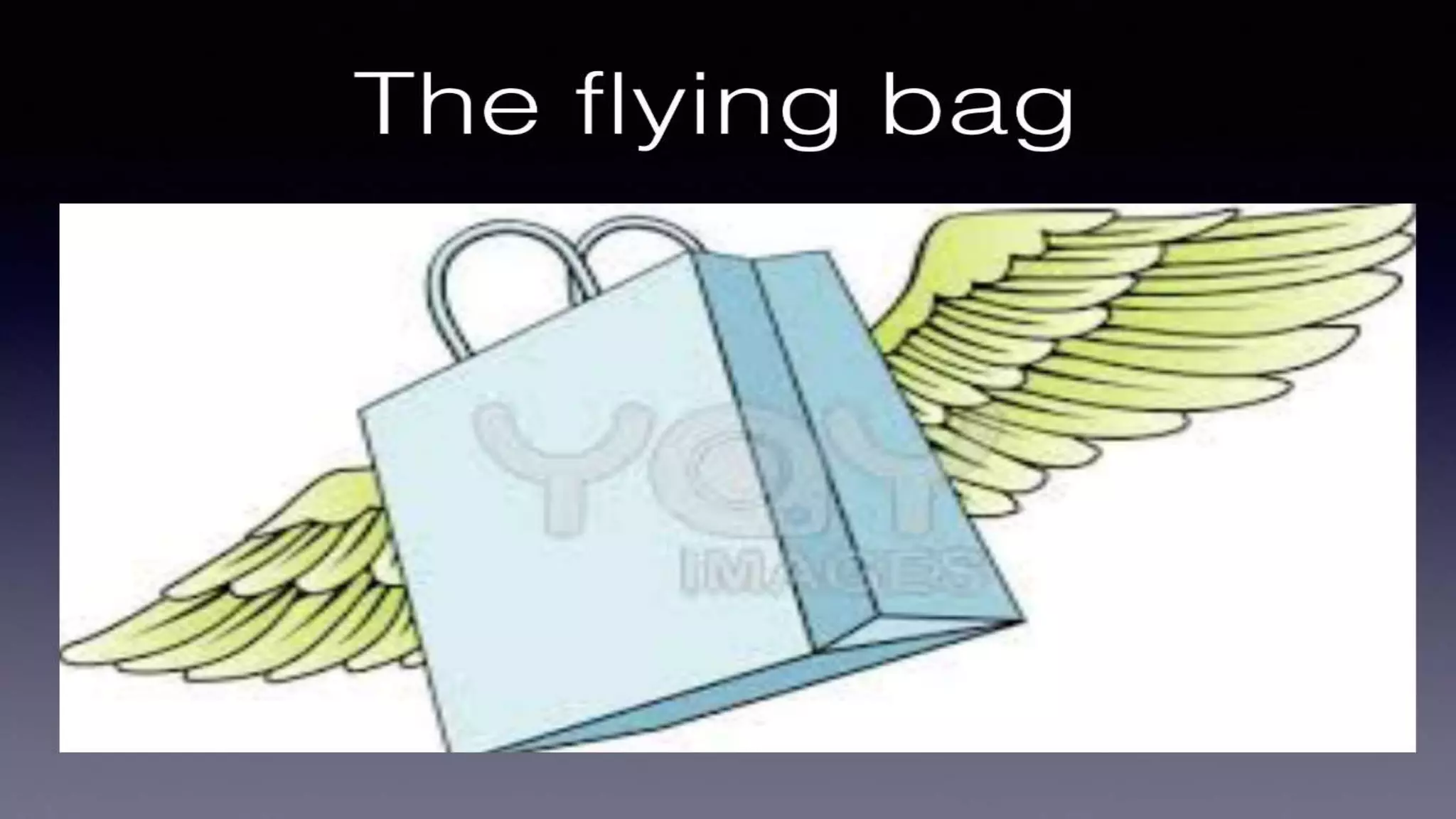 The flying bag | PPSX