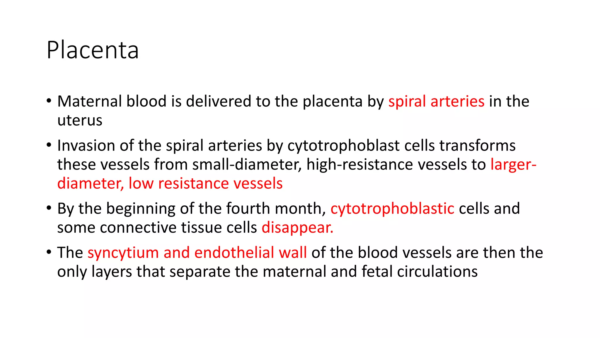 The Foetus and Placenta.pptx