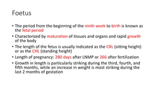 The Foetus and Placenta.pptx