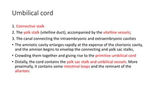 The Foetus and Placenta.pptx