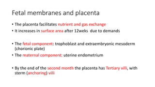 The Foetus and Placenta.pptx