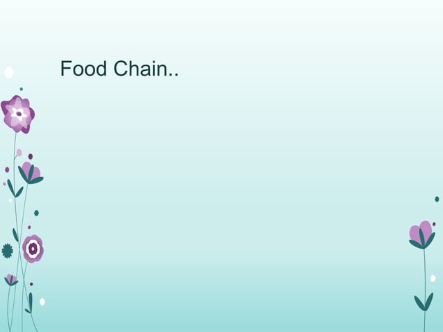 The Food Chain | PPT