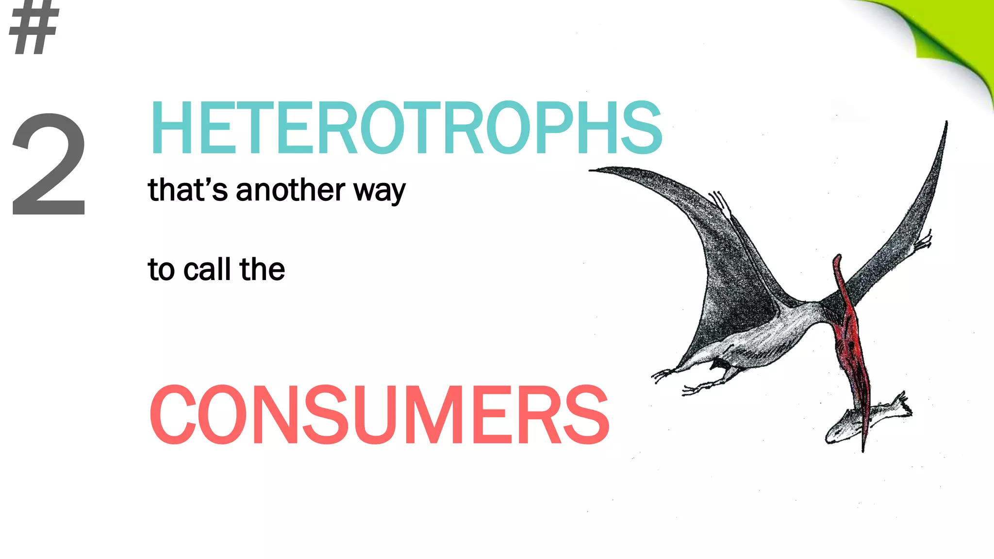 The Food Chain...with Dinosaurs! | PPTX