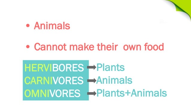 The Food Chain...with Dinosaurs! | PPTX