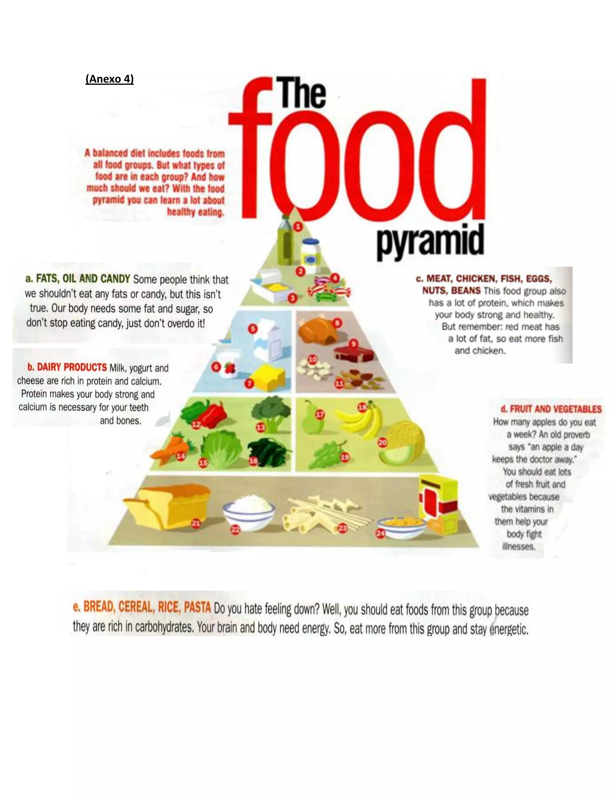The Food Pyramid | PDF