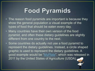 The food pyramid | PPTX
