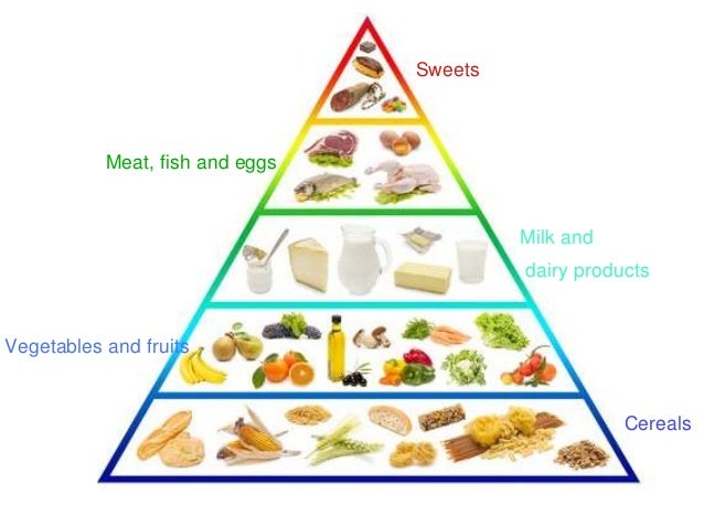 The food pyramid