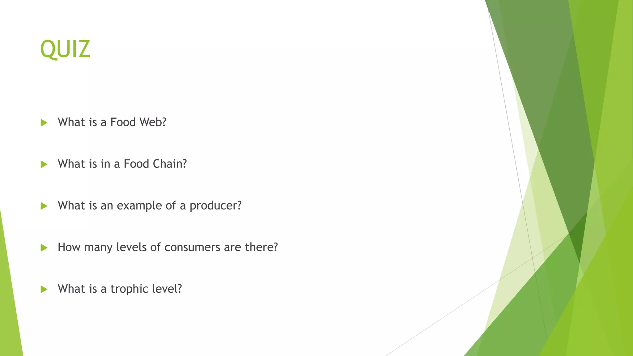 The Food Web PowerPoint | PPTX