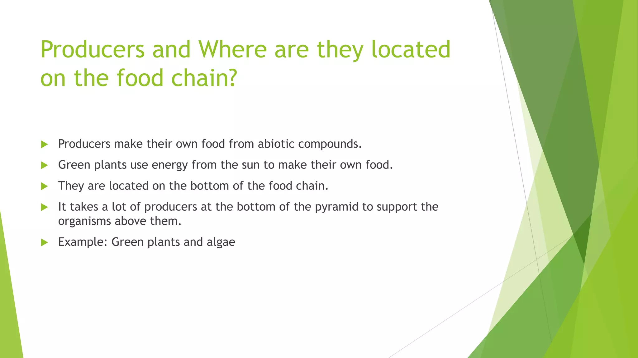 The Food Web PowerPoint | PPTX