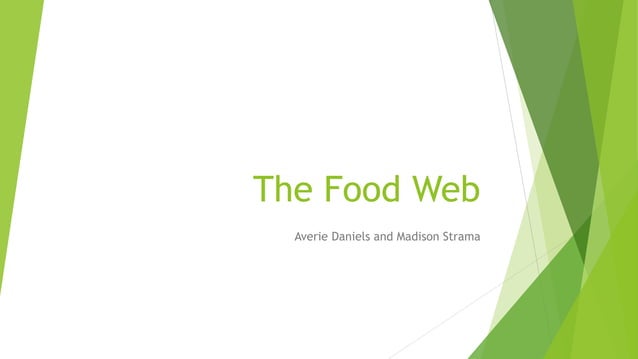 The Food Web PowerPoint | PPTX