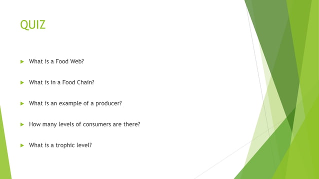 The Food Web PowerPoint | PPTX