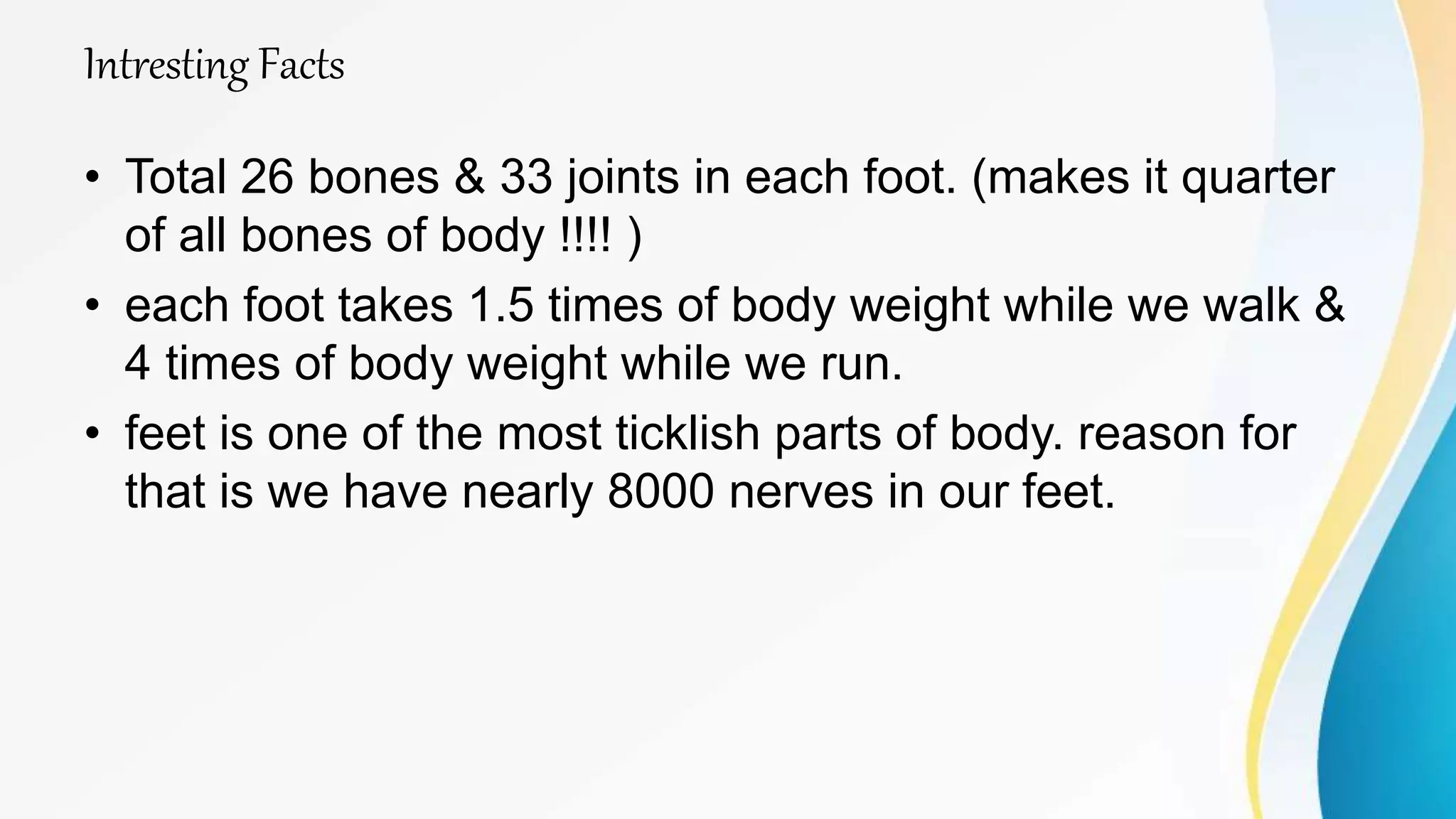 The foot applied anatomy & arches | PPTX