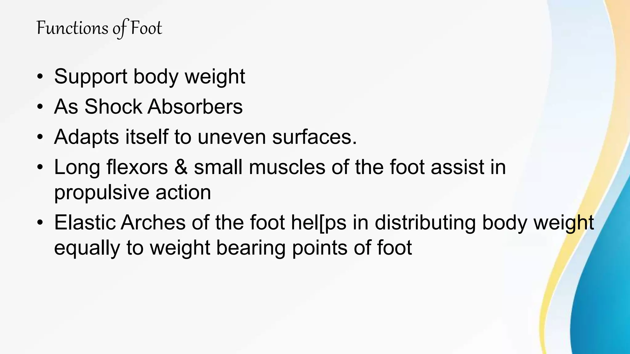 The foot applied anatomy & arches | PPTX
