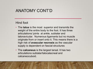 The foot | PPTX