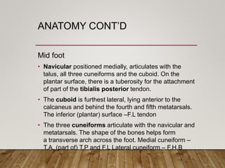 The foot | PPTX