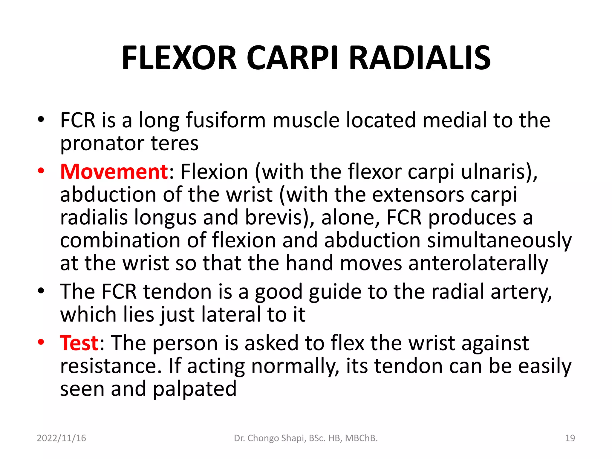 The Forearm by Dr. Shapi.pdf