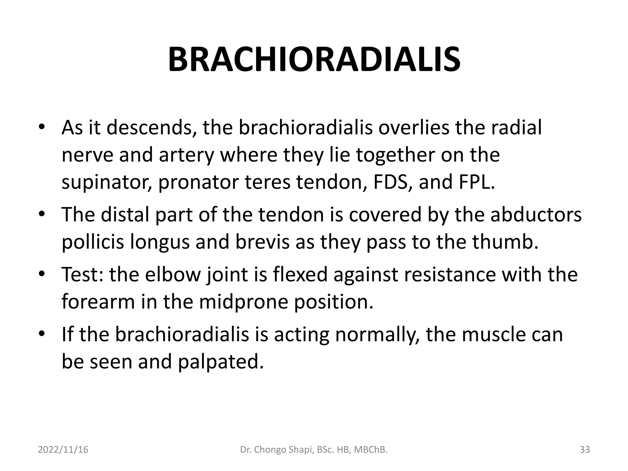 The Forearm by Dr. Shapi.pdf