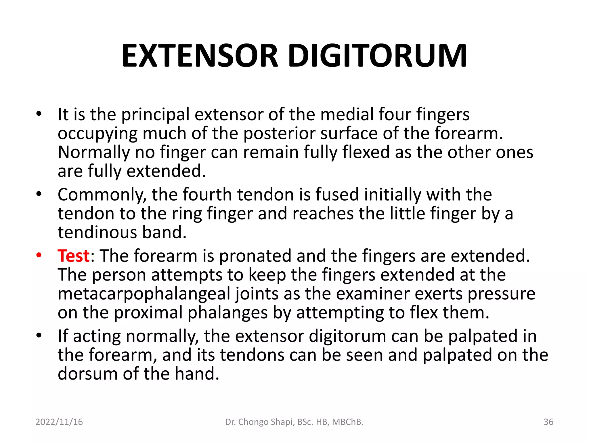 The Forearm by Dr. Shapi.pdf