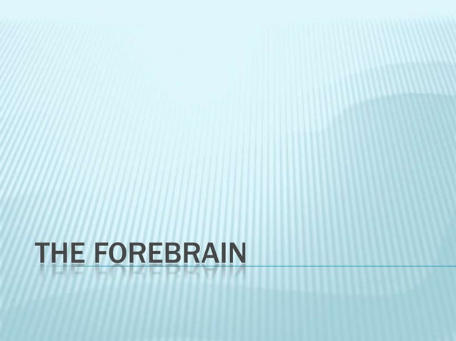 The Forebrain | PPTX