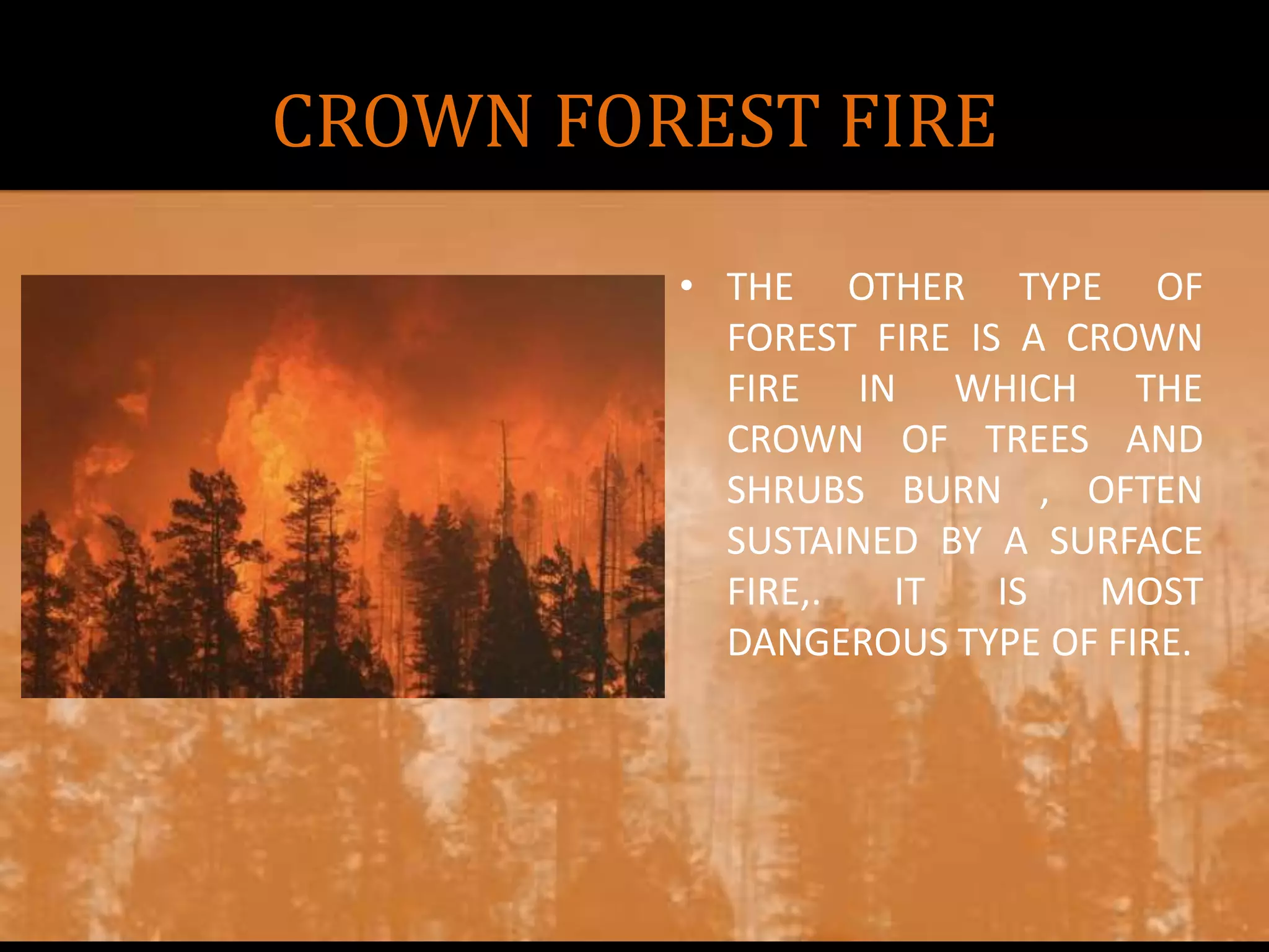 The forest fire | PPTX