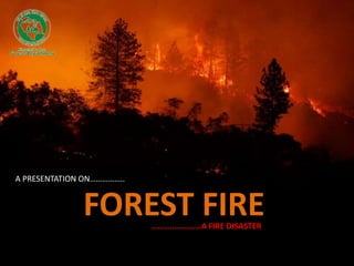 The forest fire | PPTX